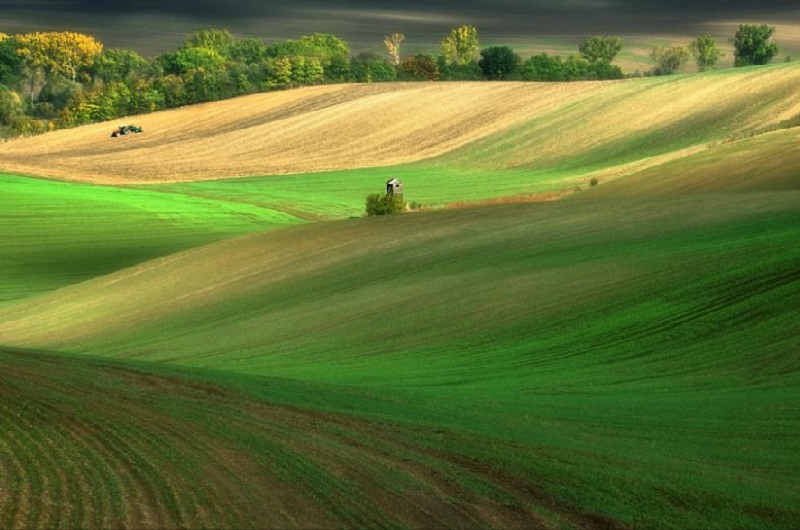 South Moravian landscape near kyjov Czech Republic -- صور من الطبية من ...