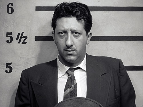 Tales of the Easily Distracted: It’s an Asphalt Jungle Out There!