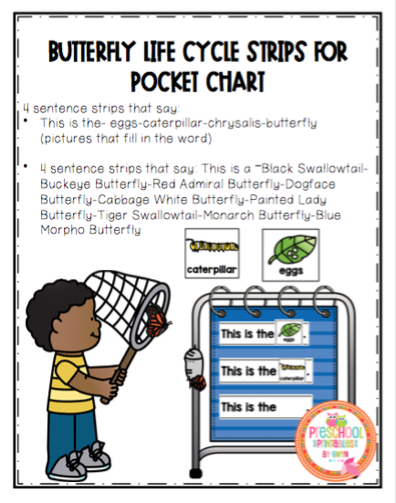 Butterfly Life Cycle Pocket Chart Strips ~ Preschool Printables