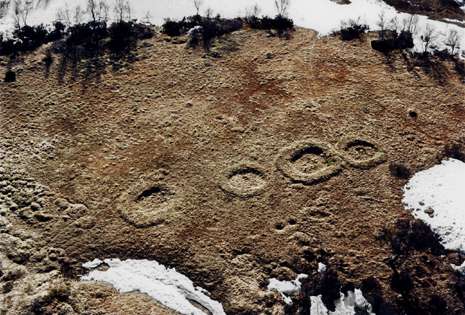 The Sami Stalo: Giants?