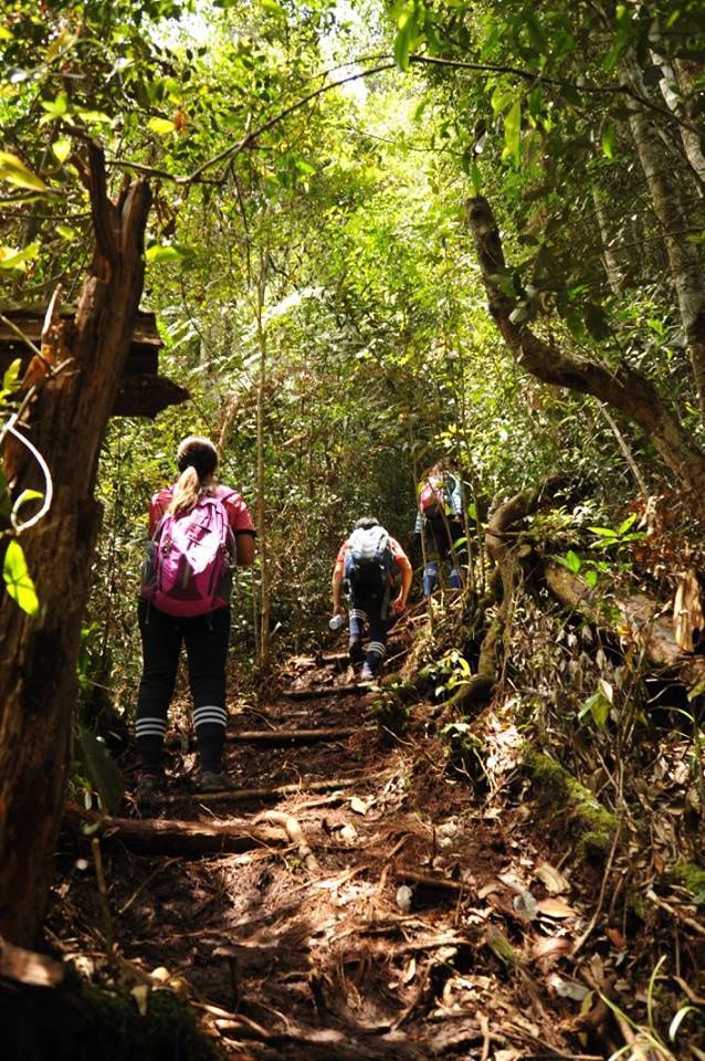 hikinghereandthere: Tinorindak Hill, Kundasang