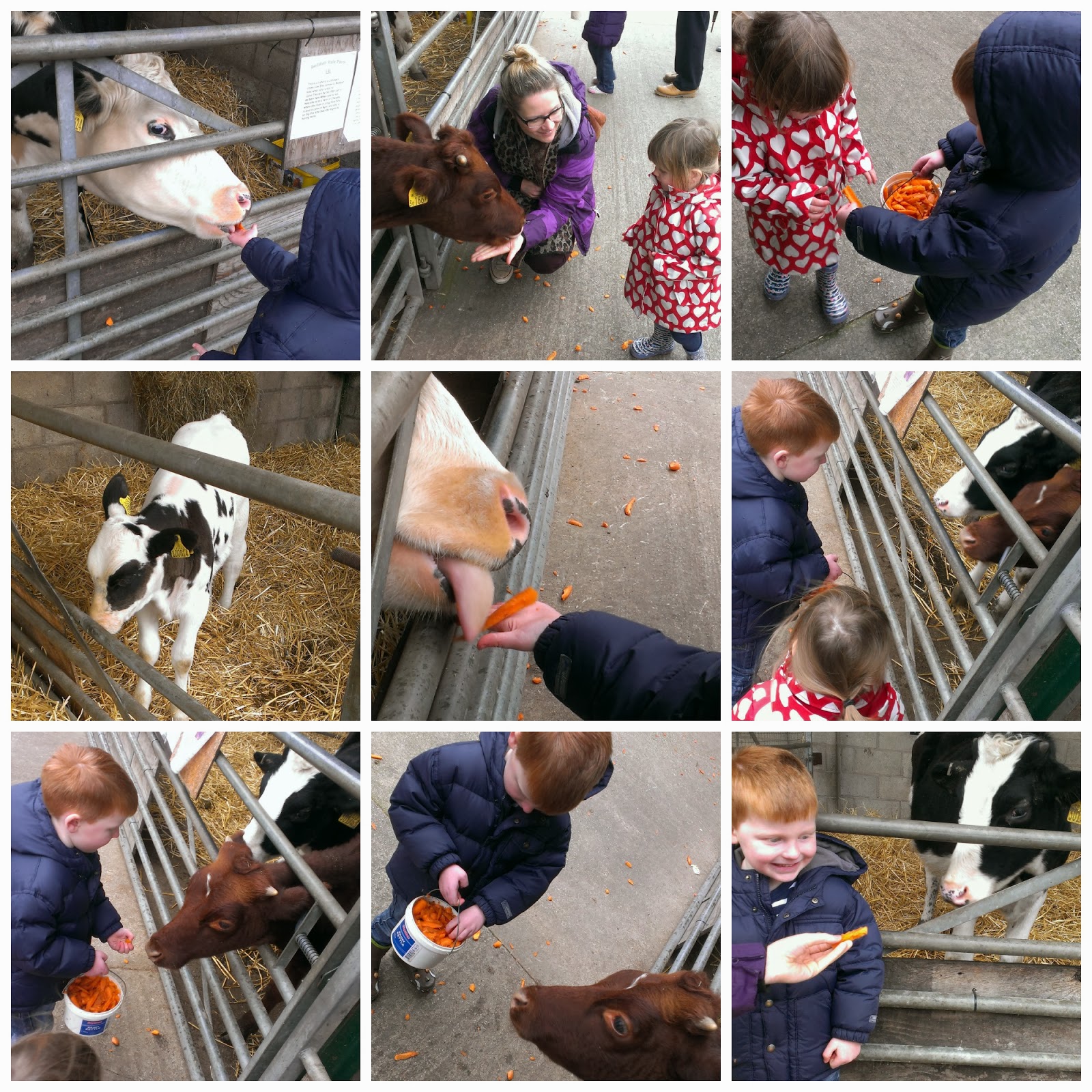 Reddish Vale Farm - An Adventure! - We're going on an adventure