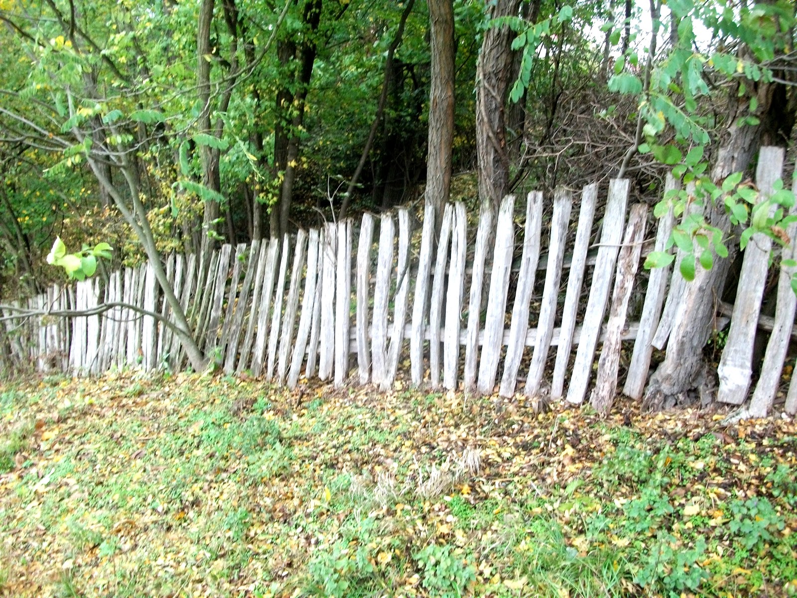 Šumadijsko dvorište