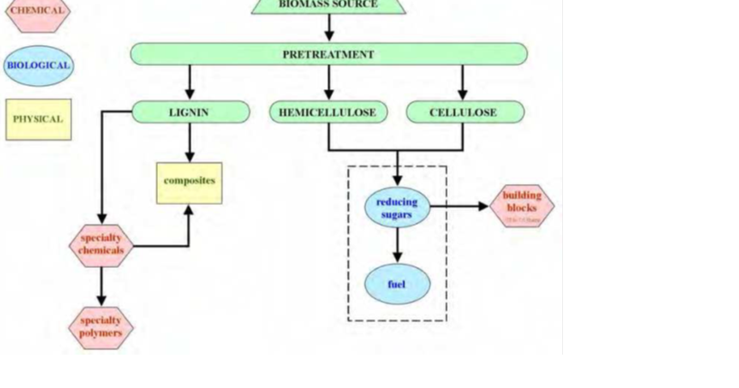 Emerald Biology: Fuels for Biofuels part 4: lignocelluose as a biofuel ...