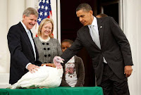 President Obama’s Thanksgiving Day Pardon Decried by GOP as Blatant ...