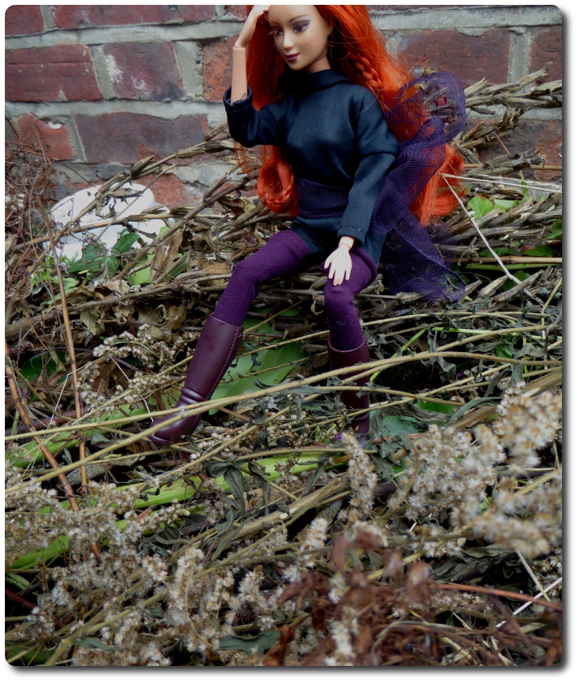 roroDolls: Vanitas and decay (thoughts about autumn)