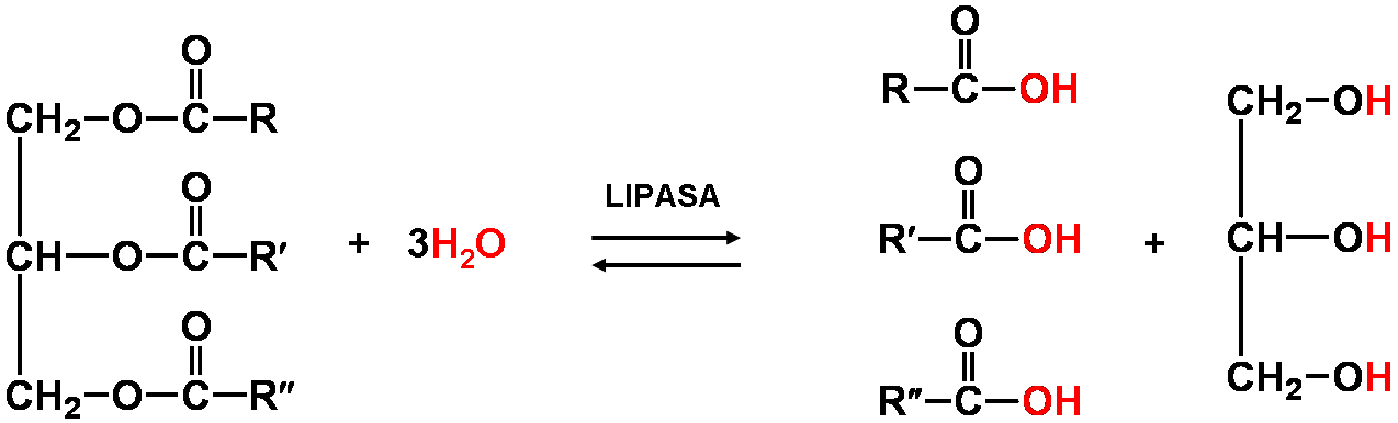 "VALORACION METABOLICA"