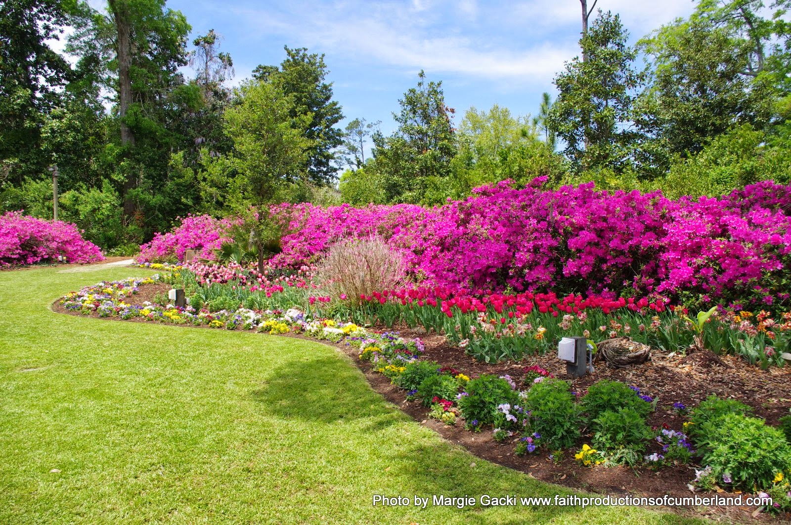 Through My Lens: North Carolina in the Spring