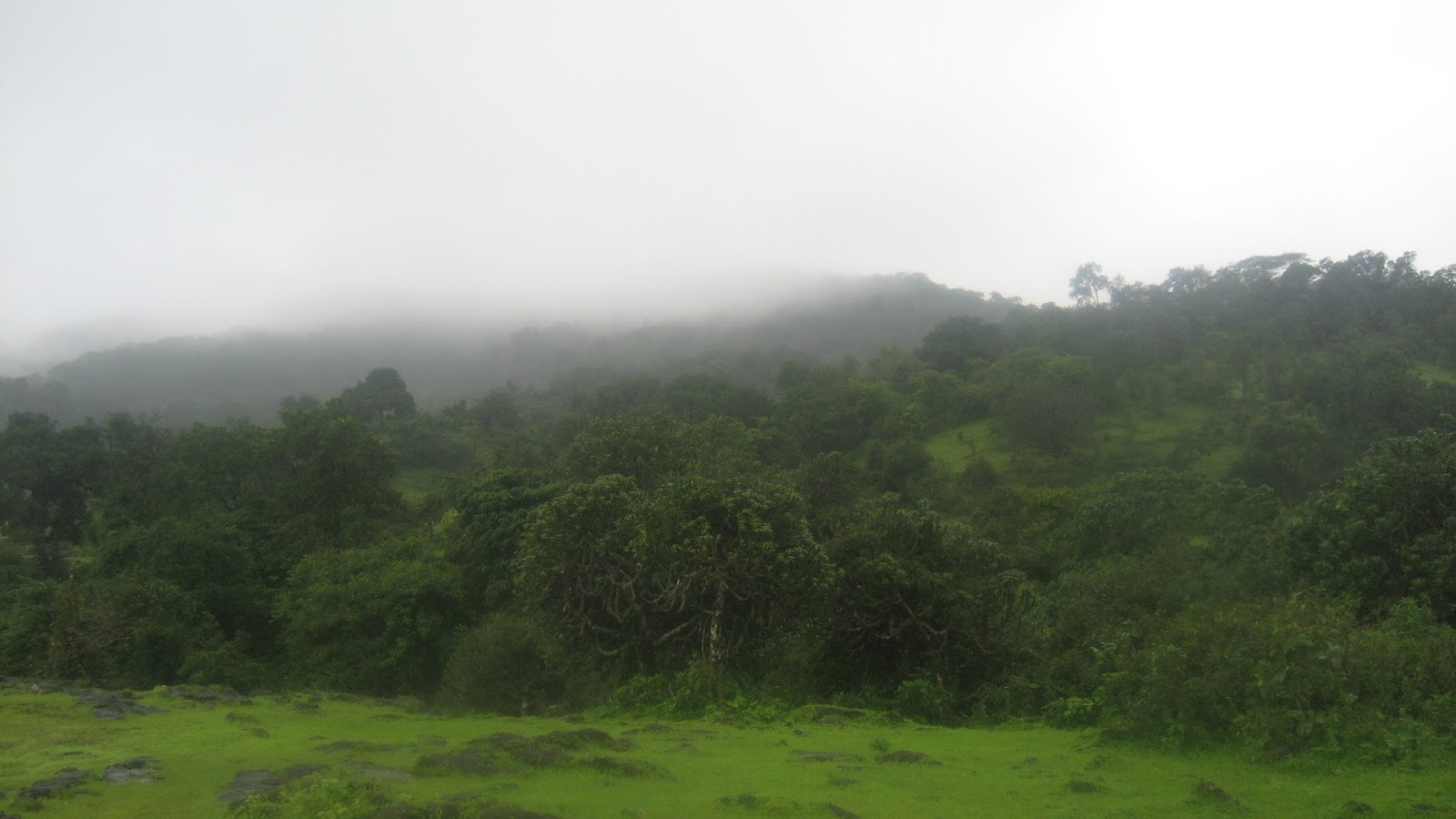 On the Edge of Sahyadris: Ahupe Ghat: A memorable walk through heaven