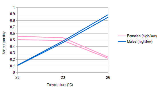 Cherry shrimp sex and temperature