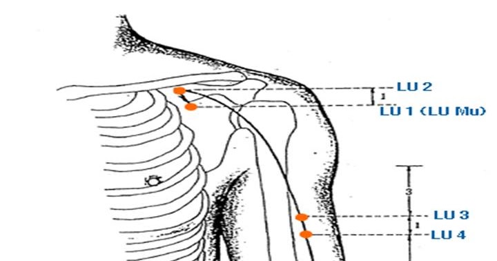 Ilmu Titik Meridian Akupuntur Dan Akupresur: TITIK MERIDIAN PARU