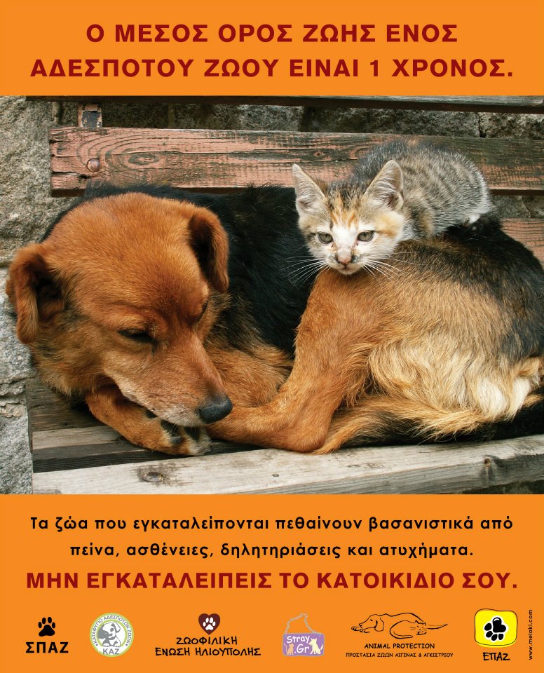 TMPRESS ΦΙΛΟΖΩΙ ΝΕΑΣ ΙΩΝΙΑΣ : ΑΔΕΣΠΟΤΑ ΖΩΑ ΚΑΙ ΑΝΘΡΩΠΟΙ