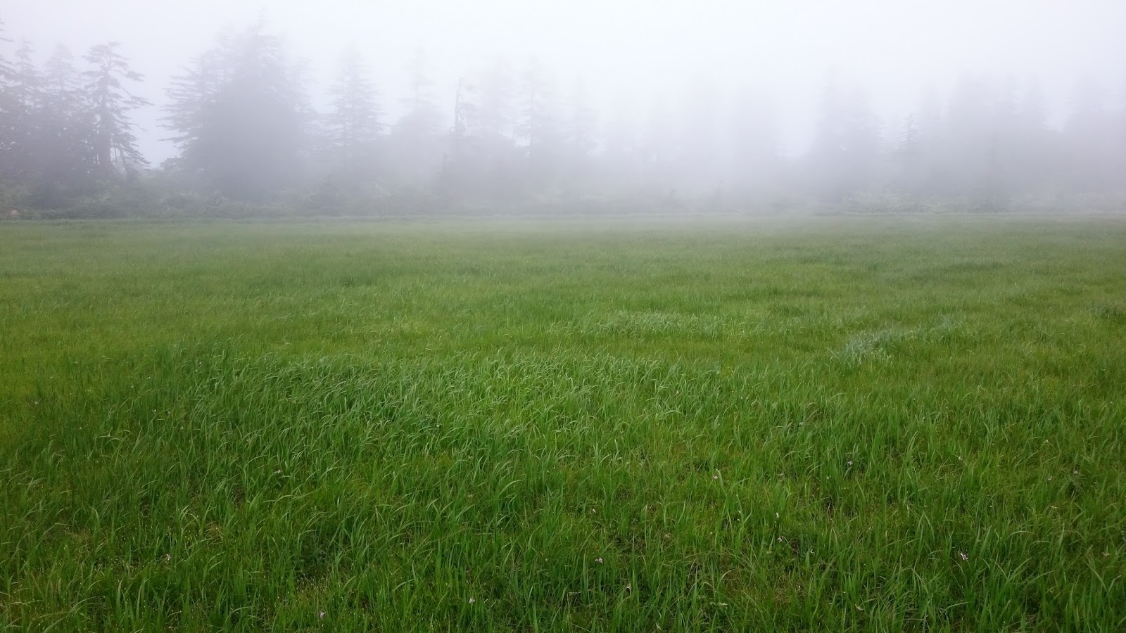 talk-hokkaido: Shinsen-numa Marsh