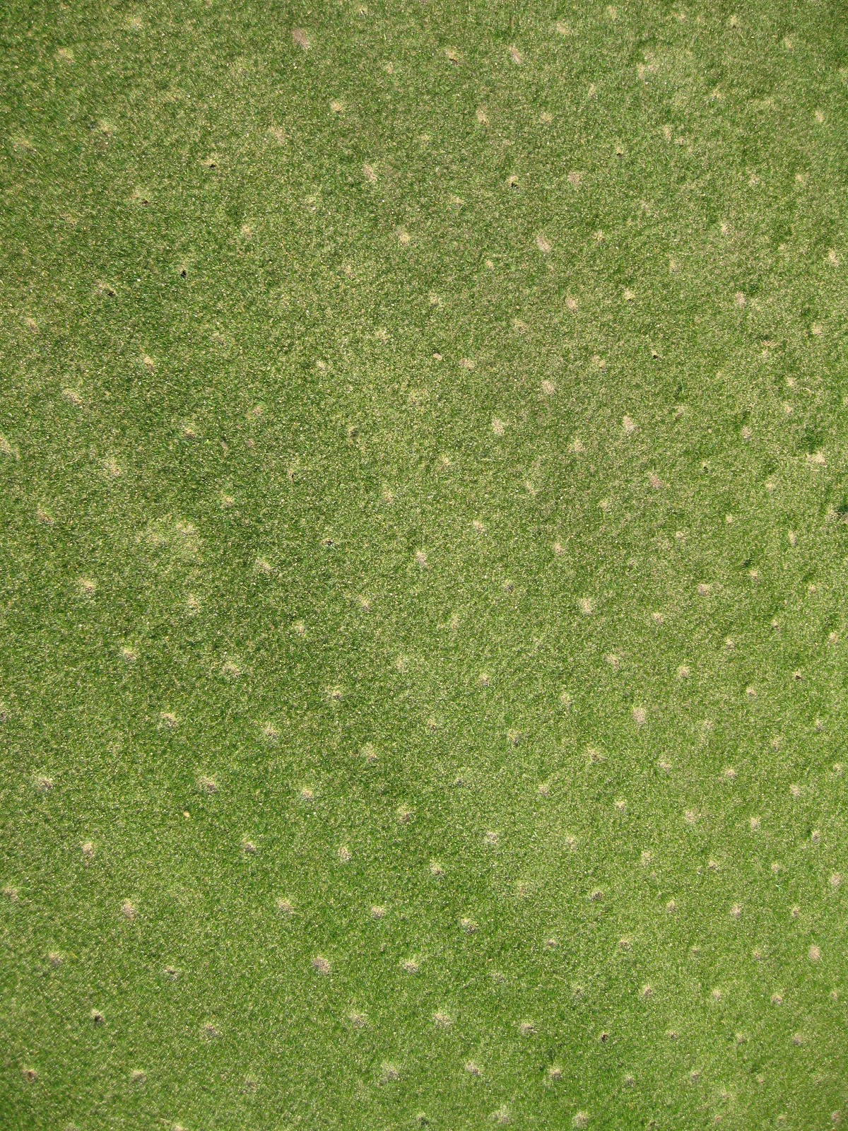 TCCC Grounds Blog: Greens Aerification Process