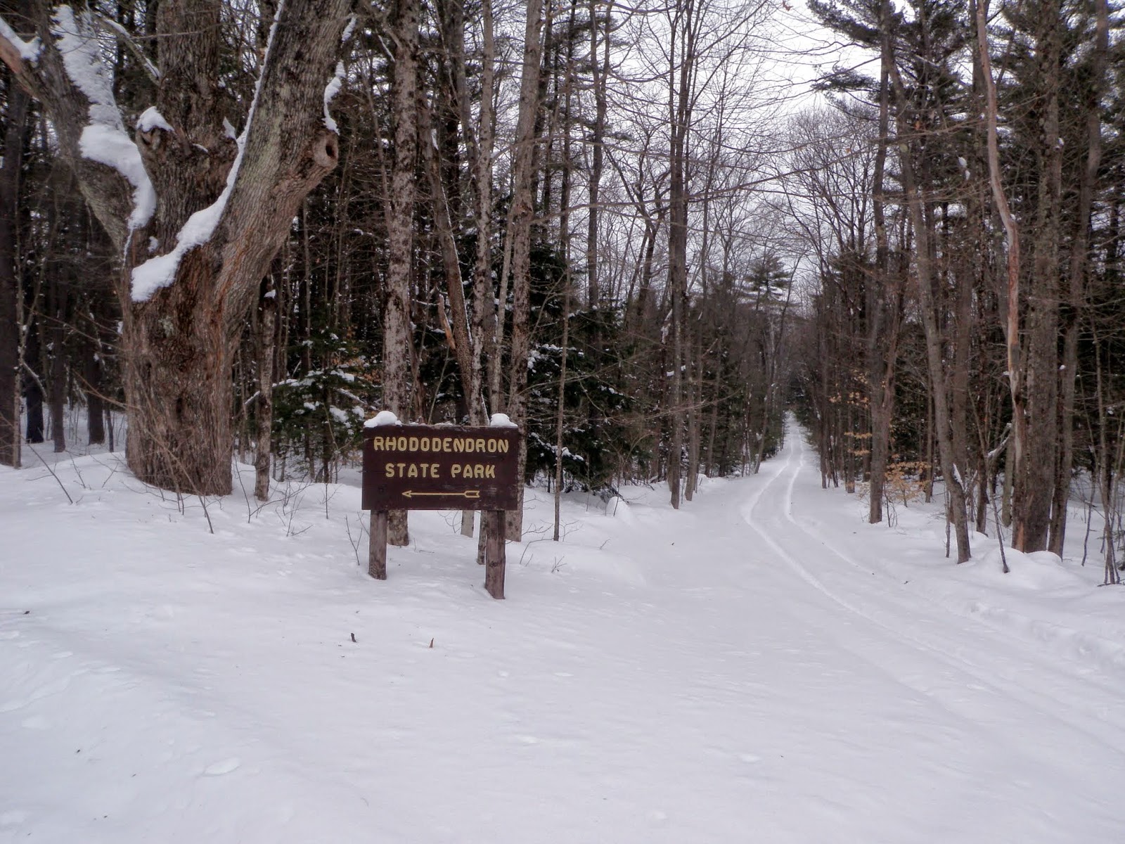 An Idiots Guide to Peakpagging and Hiking in New England: Black ...