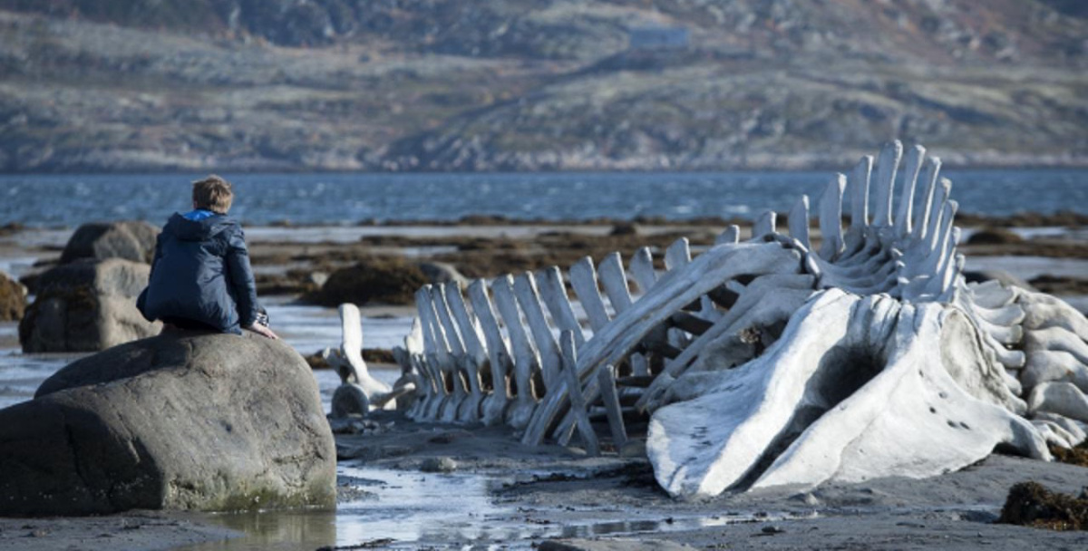 Periódico Primera Página: LEVIATAN