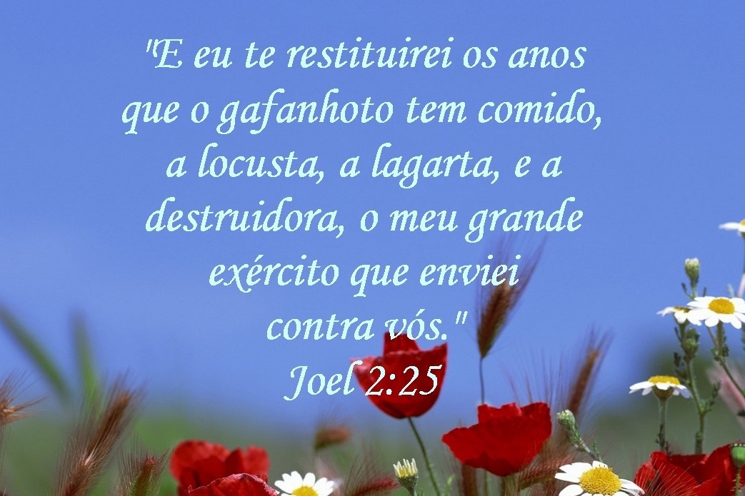 Bíblia Na Mente.: Joel 2:25