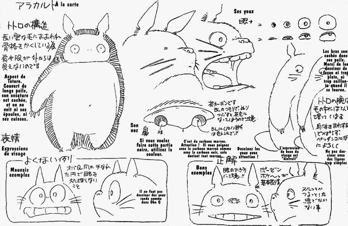 Totoro Model Sheet | Totoro, My neighbor totoro, Miyazaki art