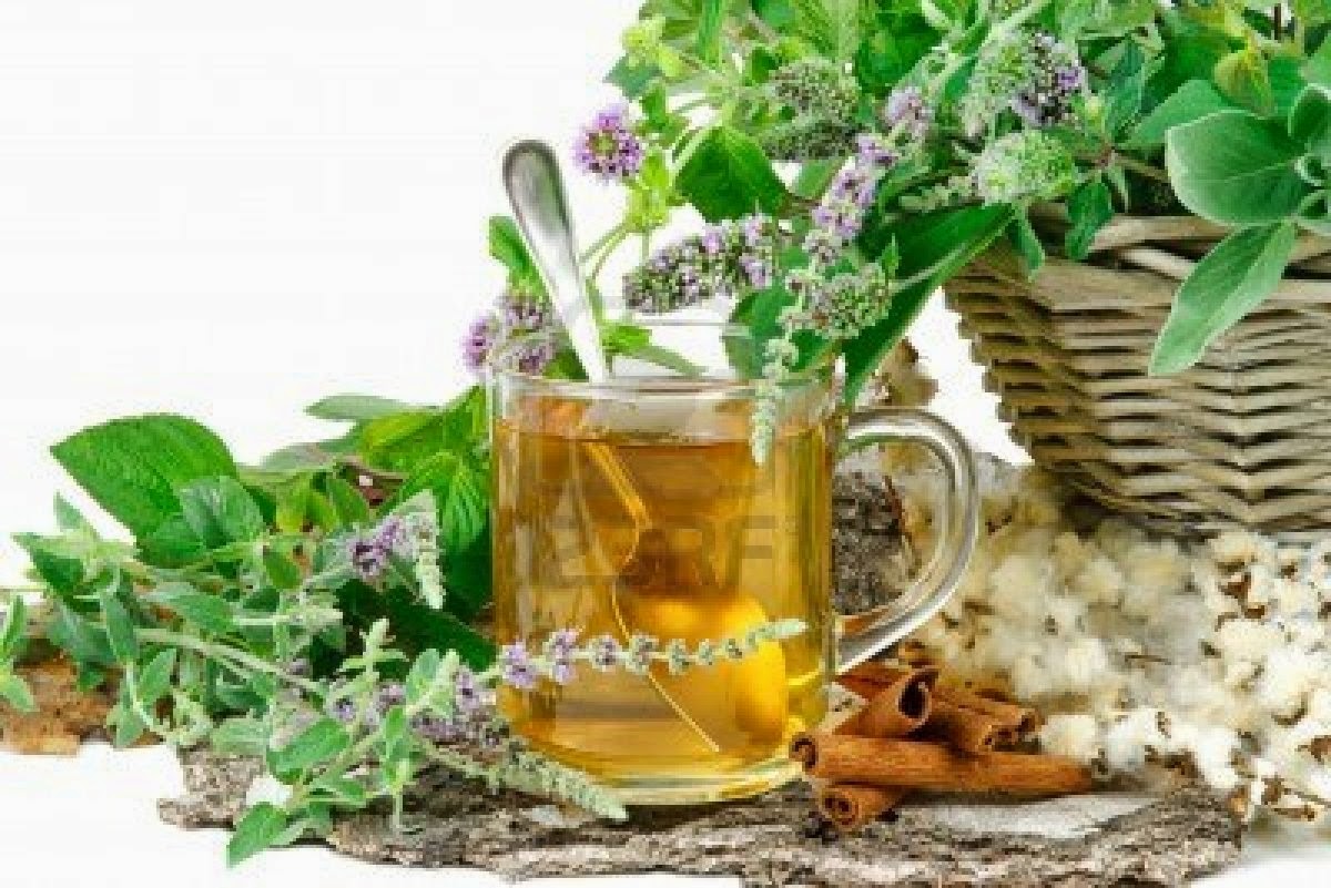 Pengenalan Penggunaan Herba dan Tumbuhan - Darussyifa Bandar Baru Salak ...