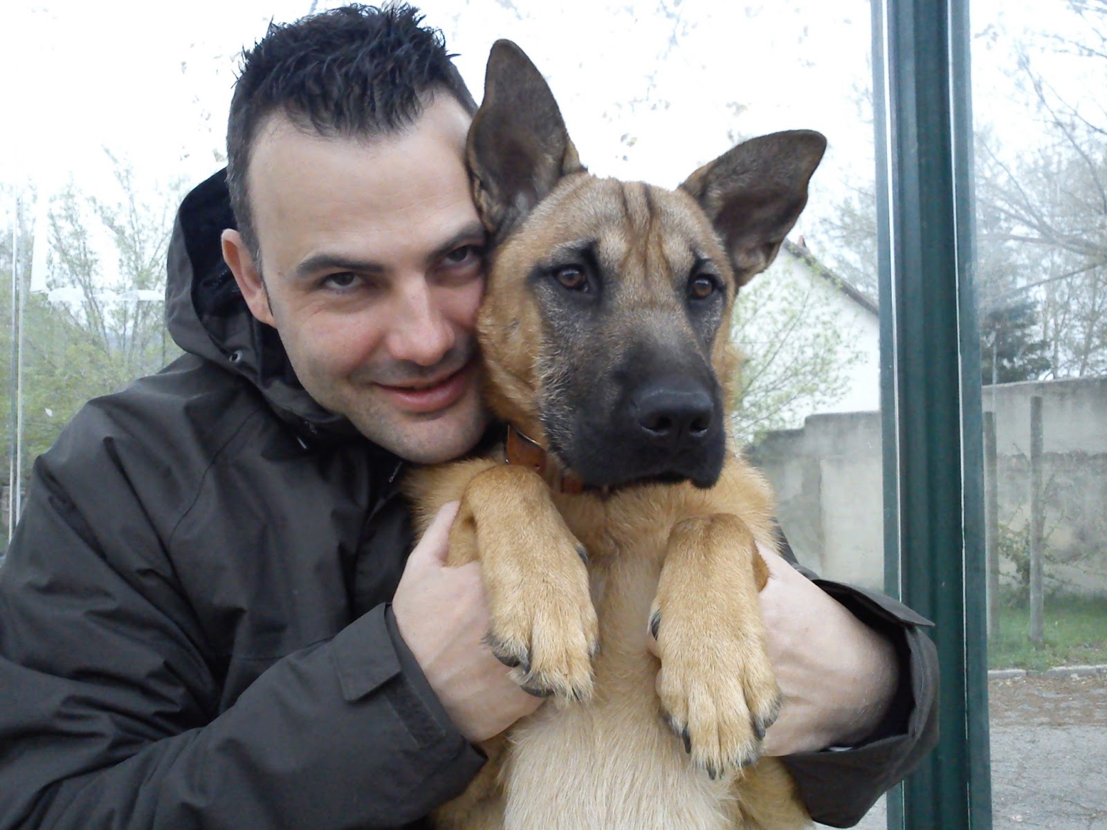 EL PERRO MAS... DEL MUNDO: LA VIDA DE ROCO