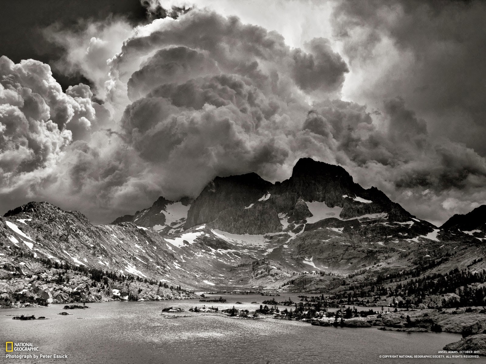 LA FOTOGRAFÍA, EVOLUCIÓN HISTÓRICA.: Grupo f/64