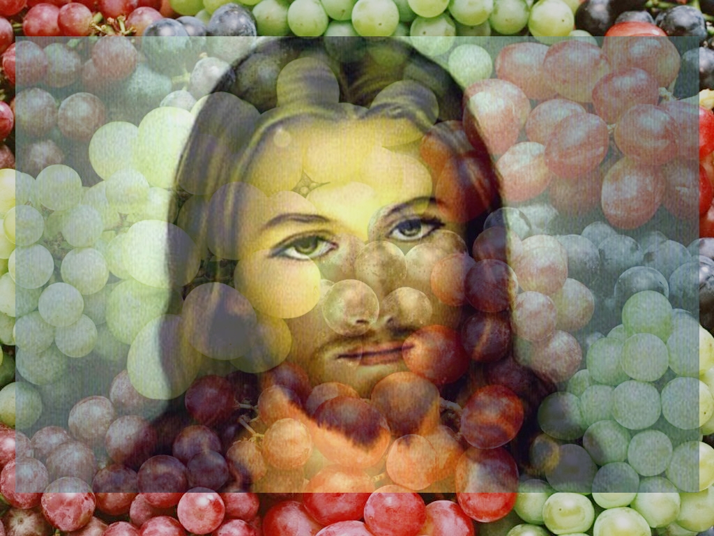 Yesus Pokok Anggur yang Benar