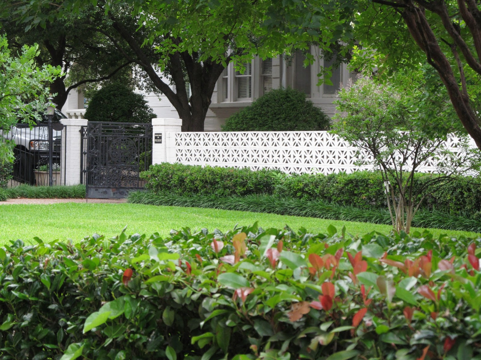 Sheryl's Family Tree: Alex & Laura's Wedding