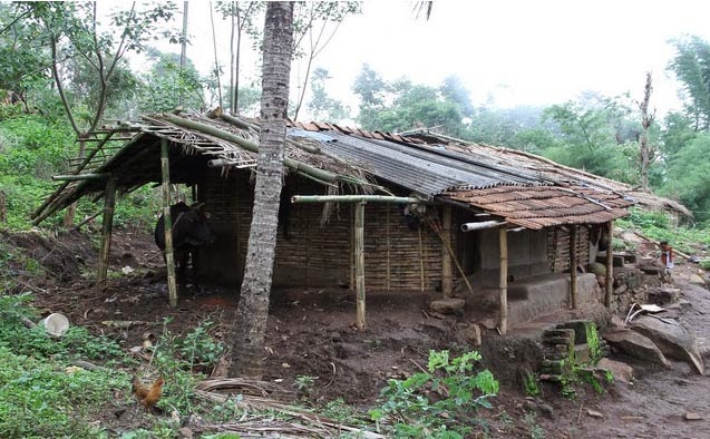 TRIBALS IN WAYANAD: Adivasis of Kerala