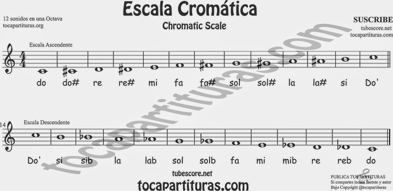 UEBLI Music.: ¿Qué es la Escala Cromática?