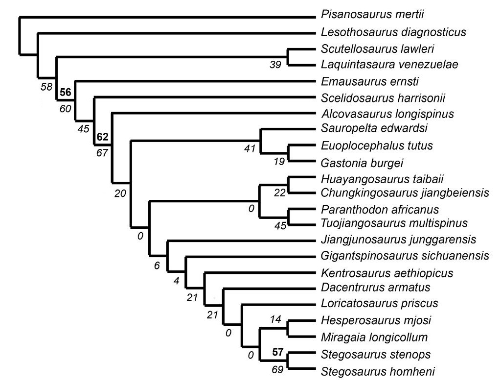 Species New to Science: [Paleontology • 2017] A New Phylogeny of ...