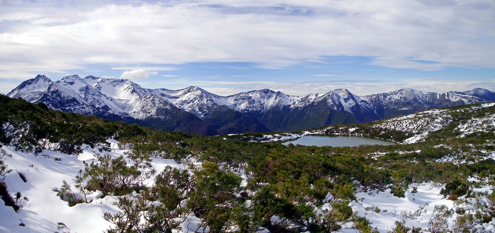 A LOS ORÍGENES: Páramo andino - Perú