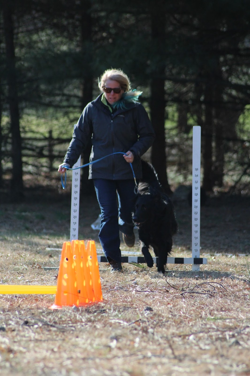 RTP Fall Into Retrieve 2022: Lesson 6: The 'Jump' command