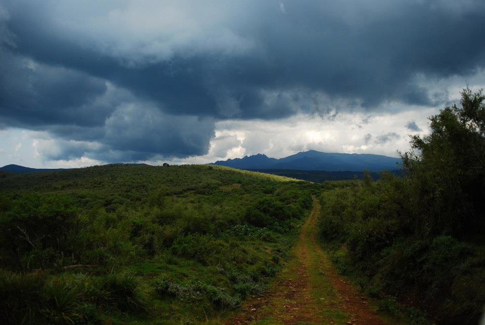 ParadoxUganda: African Alpine