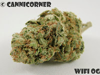 CanniCorner: WiFi OG (The White x Fire OG)