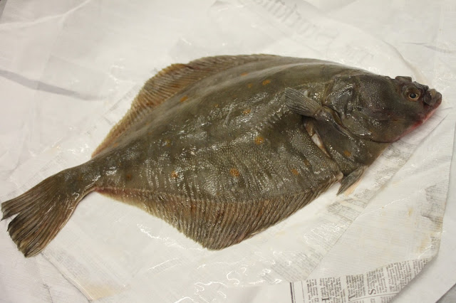 epätrendikäs ruokablogi: Paistettua punakampelaa ja litistettyä uutta ...