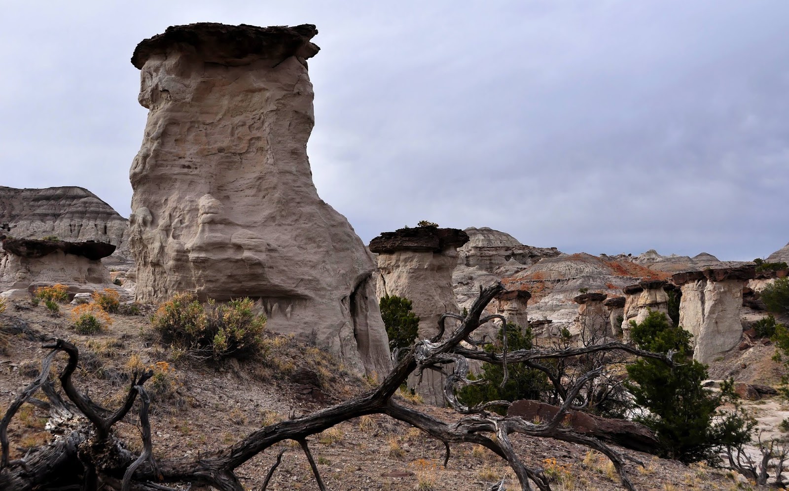 Les voyages de Michèle et Jean-Michel: Lybrook Badlands