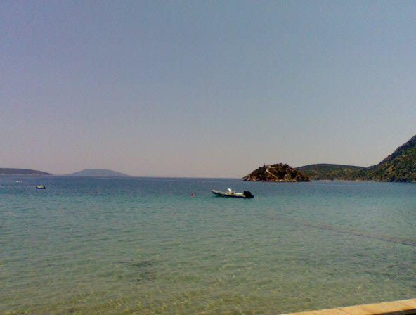 Homo Universalis: ΣΟΦΙΑ ΣΚΟΥΛΙΚΑ-ΒΕΛΛΟΥ – ΠΟΙΗΜΑΤΑ