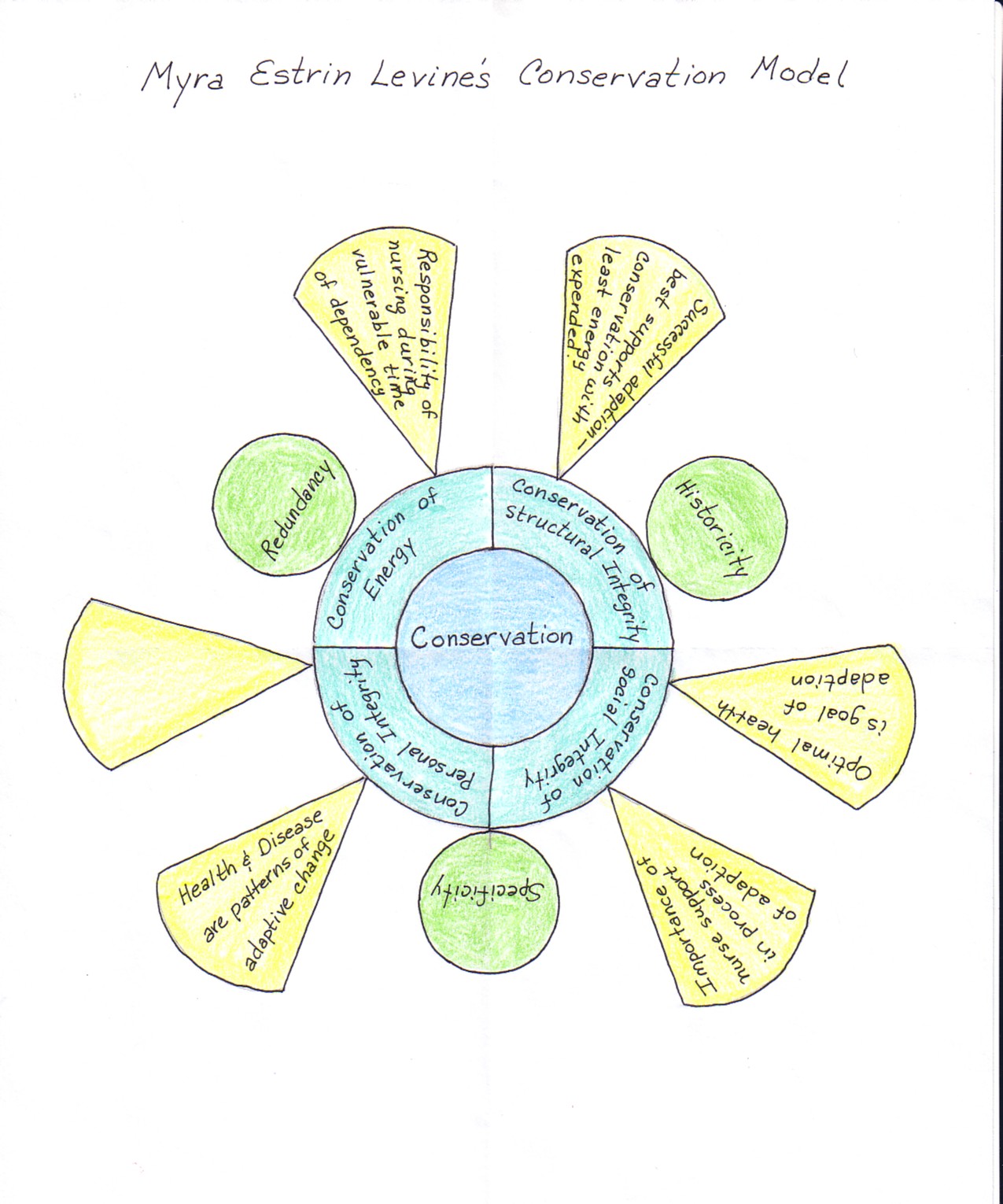 Levine’s conservation model concept: Key Concepts