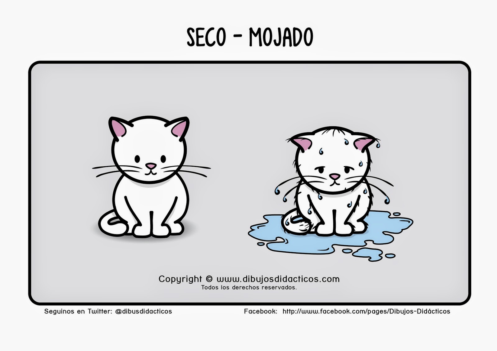 SGBlogosfera. María José Argüeso: OPUESTOS: CONOCEMOS