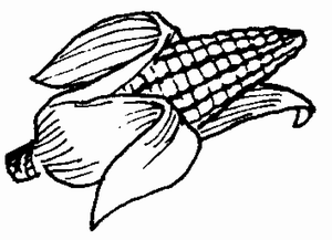 Sekitar Kawasan Sekolah: Gambar outline_Buah Sayur