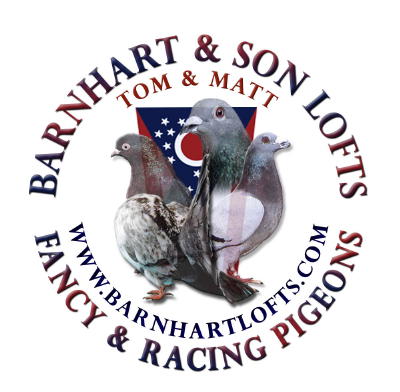 nieripigeons USA racing pigeons: Los Jan Aarden de Piet Laseroms.