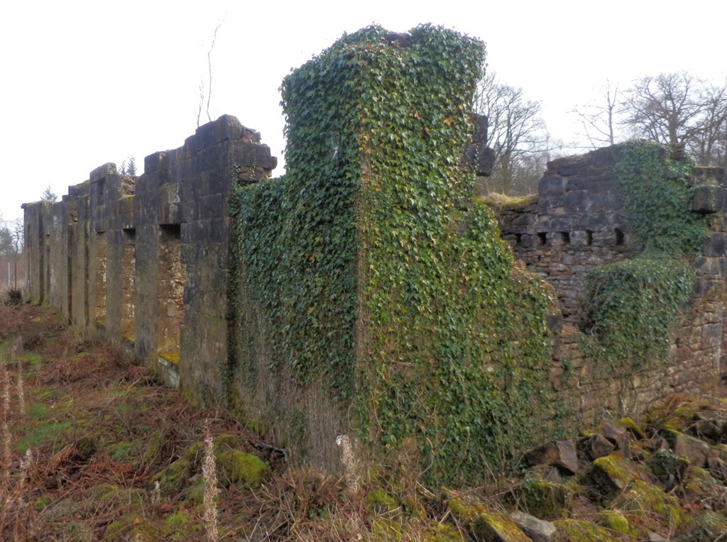 My Daily Walk: Plean Country Park