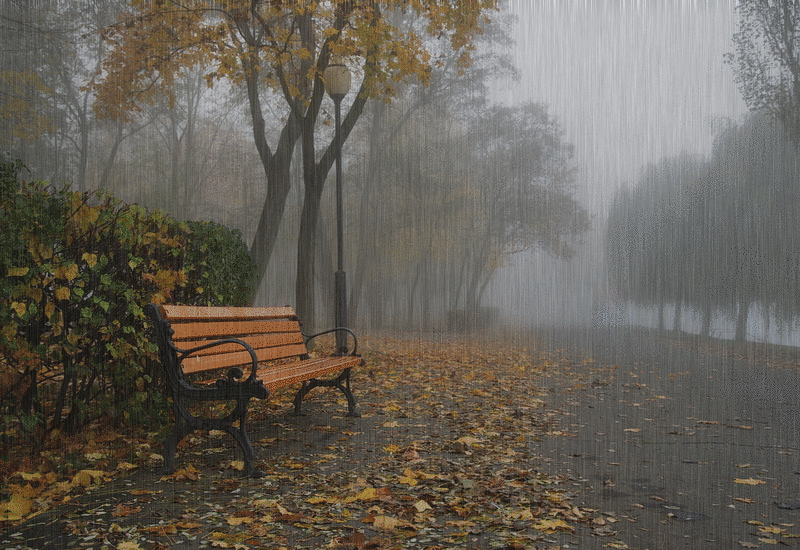 Passion of Life: Autumn rain moving images