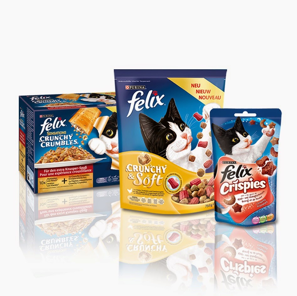 Felix zeigt die geheimen Wege deiner Katze ~ Manus Testwelt, alles ...