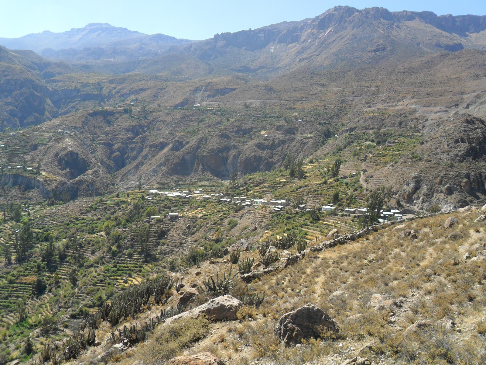 FIESTA COSTUMBRISTA DE TAURIA: RESEÑA HISTORICA