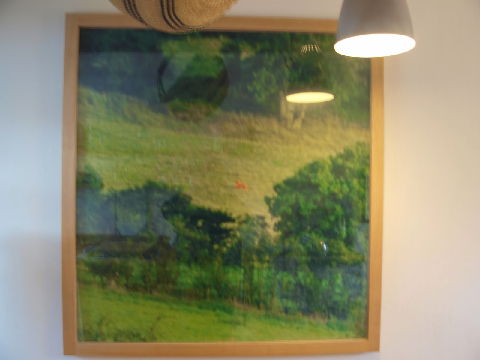 Transparent Collection: Marcus Coates, 'Red Fox', 1998