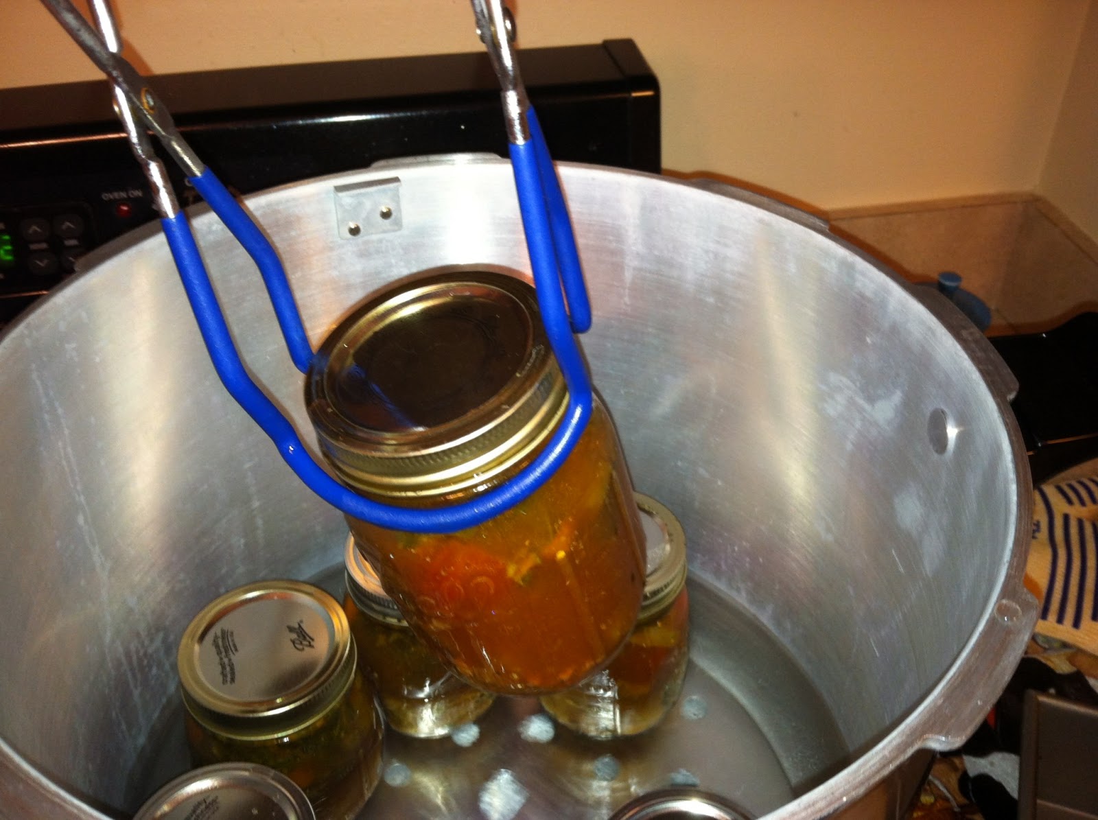 Adventures in Paleo Cooking: Paleo Canning - Gazinta Soup