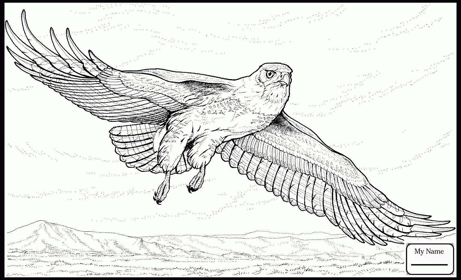 hawks coloring pages - jiahajava