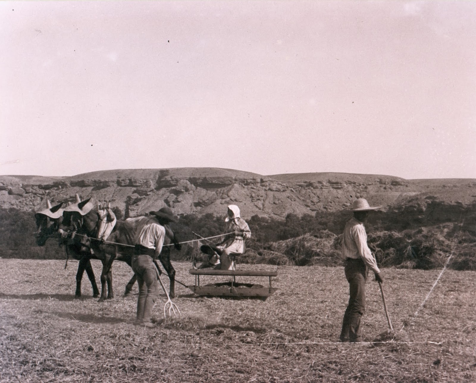 El Bernegal: LAS ERAS DE TRILLAR