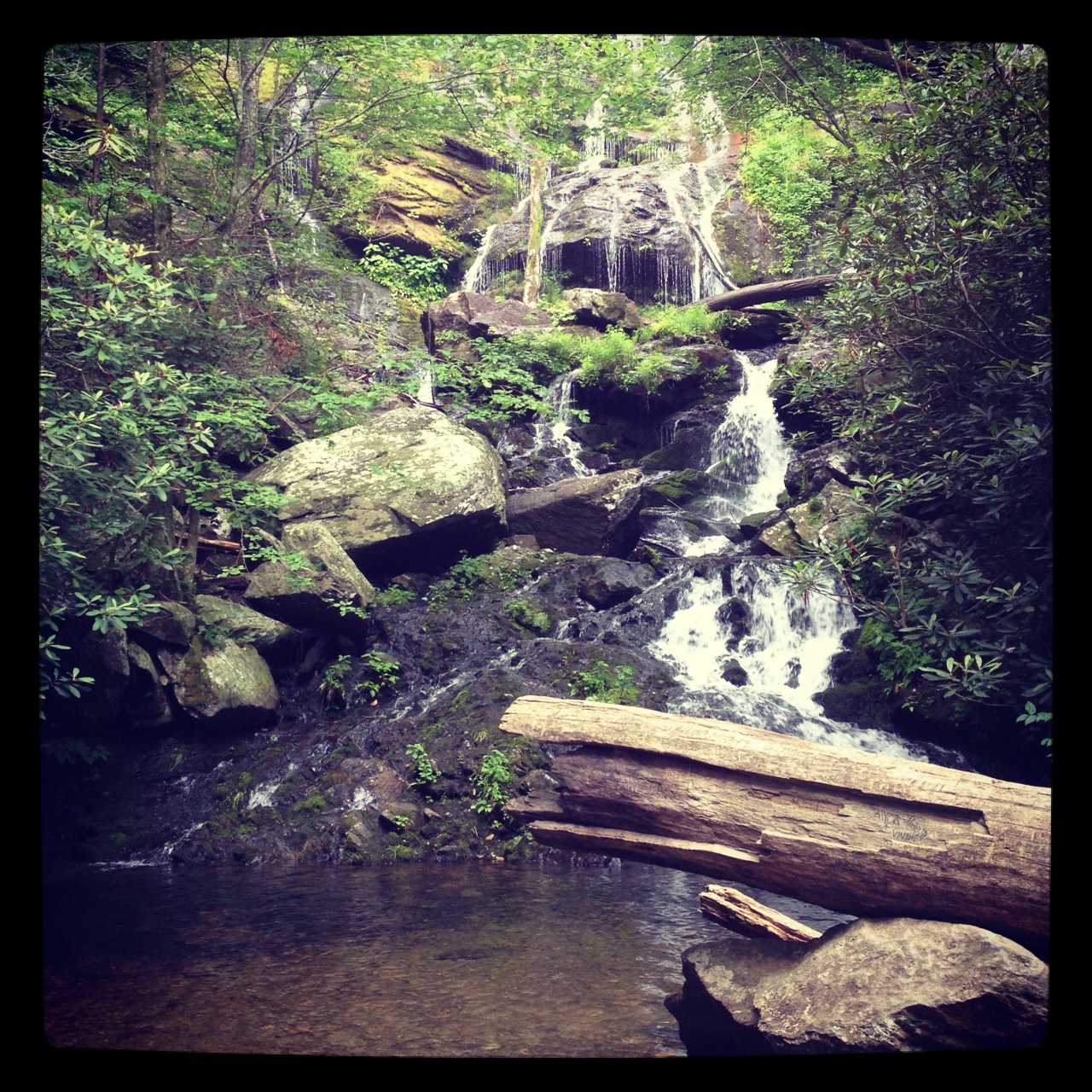 hello, rudy: A hike.